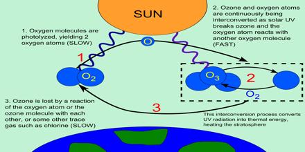Ultraviolet Radiation Assignment Point