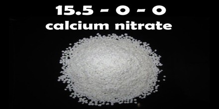 Zinc Nitrate Assignment Point