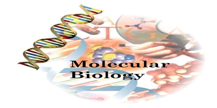 Molecular Biology - Assignment Point