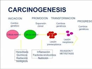 Carcinogenesis