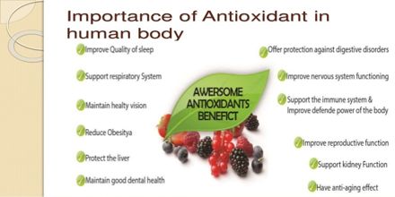 Benefits of Antioxidants - Assignment Point