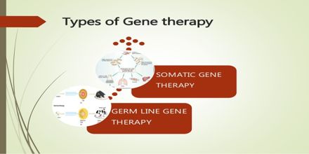 Gene Therapy: Pros and Cons - Assignment Point