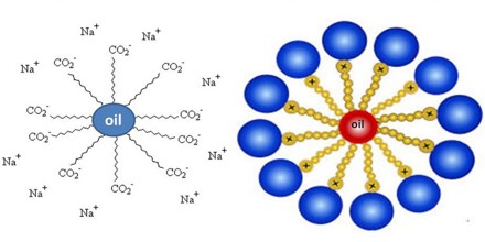 Hydrophilic - Assignment Point