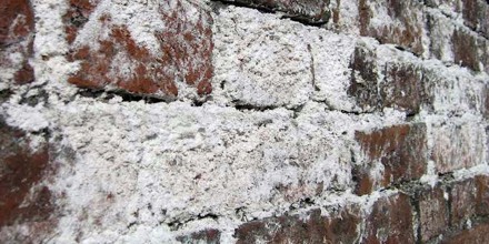 Efflorescence - Assignment Point