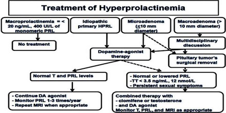 Hyperprolactinemia - Assignment Point