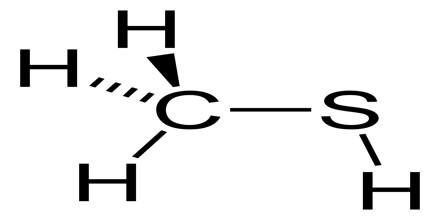 Methanethiol - Assignment Point