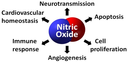 Nitrous Oxide Definition