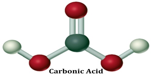 Carbonic Acid - Assignment Point