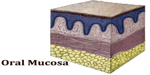 Biology - Assignment Point
