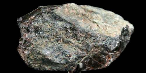 Neptunium - Assignment Point