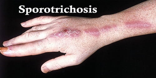 Science - Assignment Point