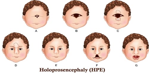 Science - Assignment Point