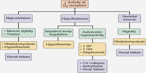 Neuroleptic Malignant Syndrome - Assignment Point