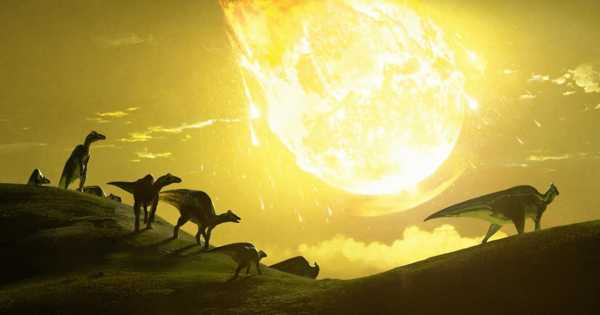 Prior to the End, Dinosaurs Were in Decline - Assignment Point